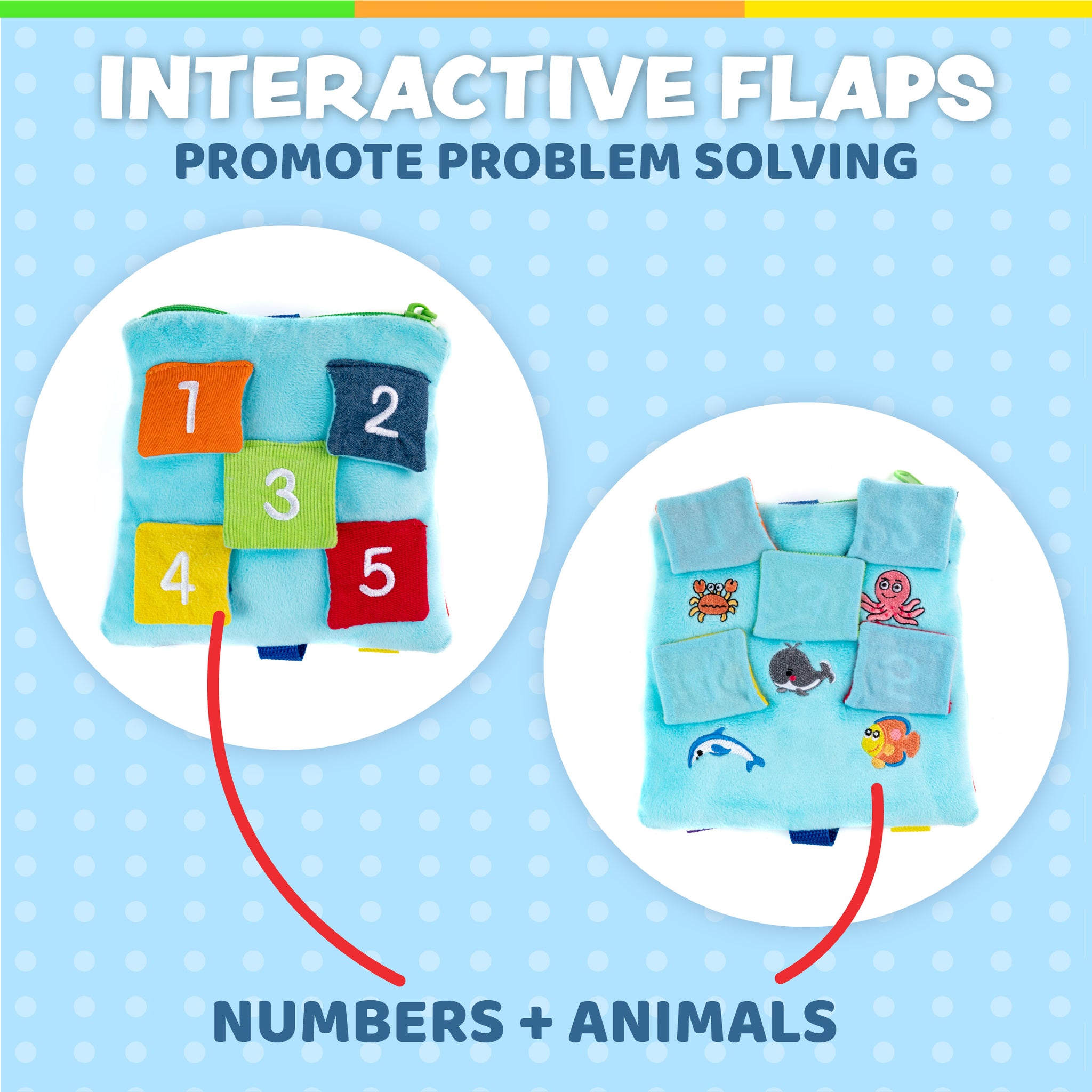 Buckle Toys | Bubbles Square - Early Childhood Development and Travel ...