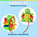 Buckle Toy | Bucky Turtle - Learning Activity Toy - Develop Motor ...